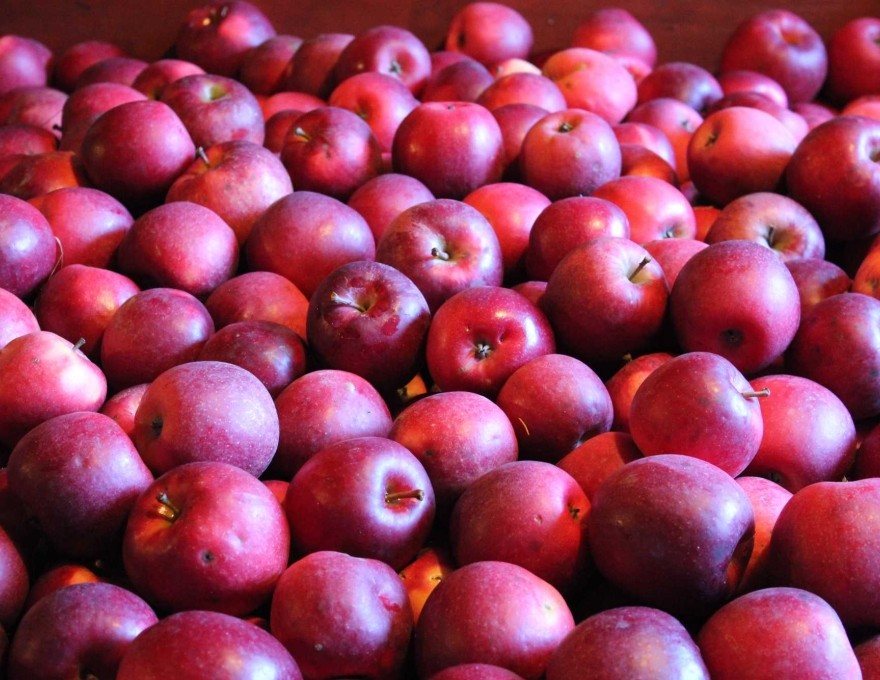 Rediscover the Apple Pie Trail | Grey County's Official Tourism Website ...