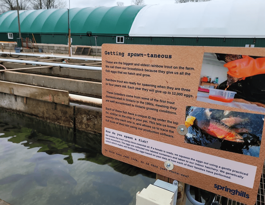 Springhills Trout Farm | Grey County's Official Tourism Website - Visit ...