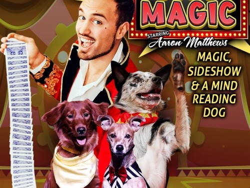 Dogs Do Magic | Grey County's Official Tourism Website - Visit Grey